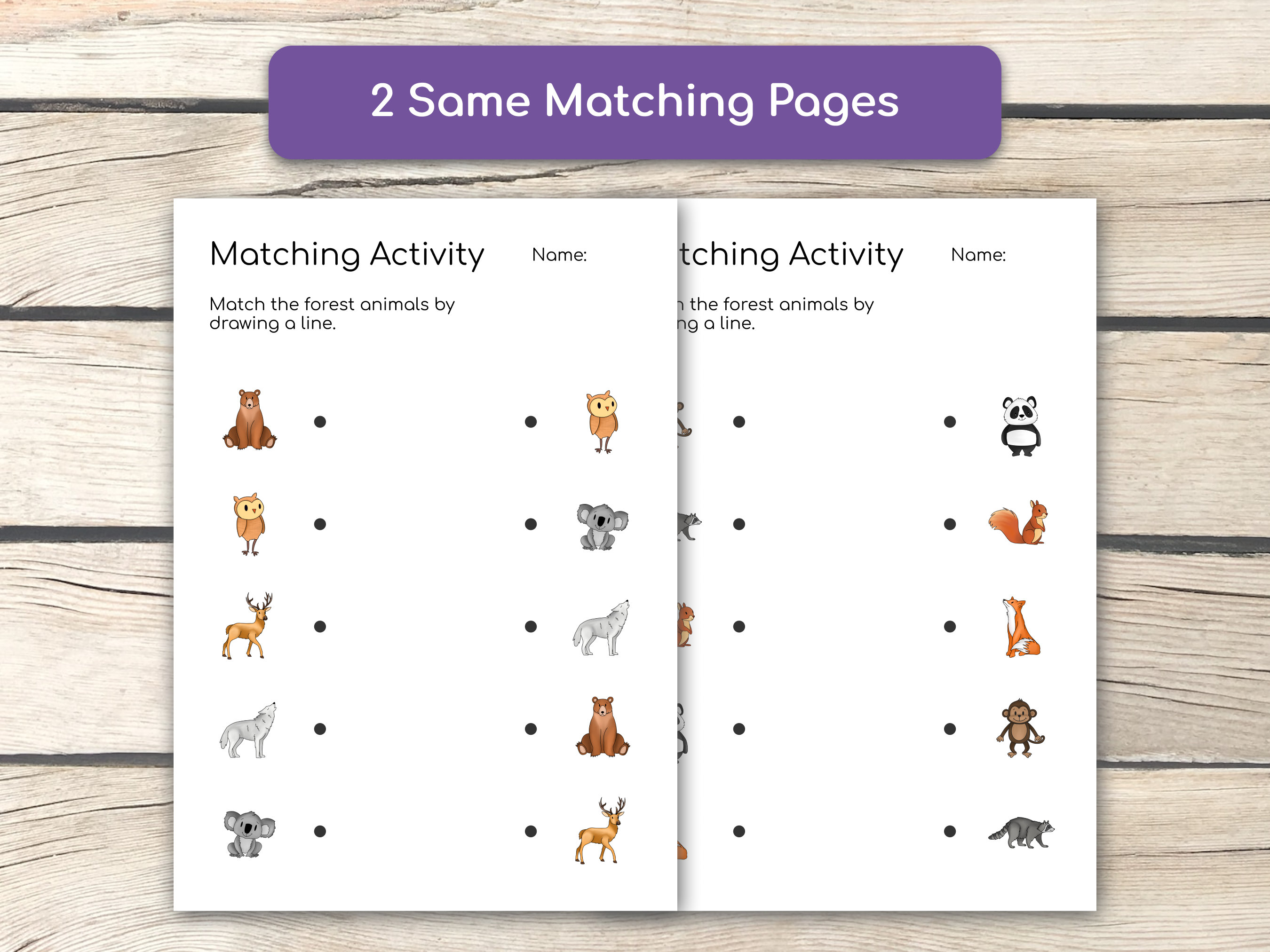 Forest Animals Matching Activity 5 Different Types Worksheet • 10 Pages ...