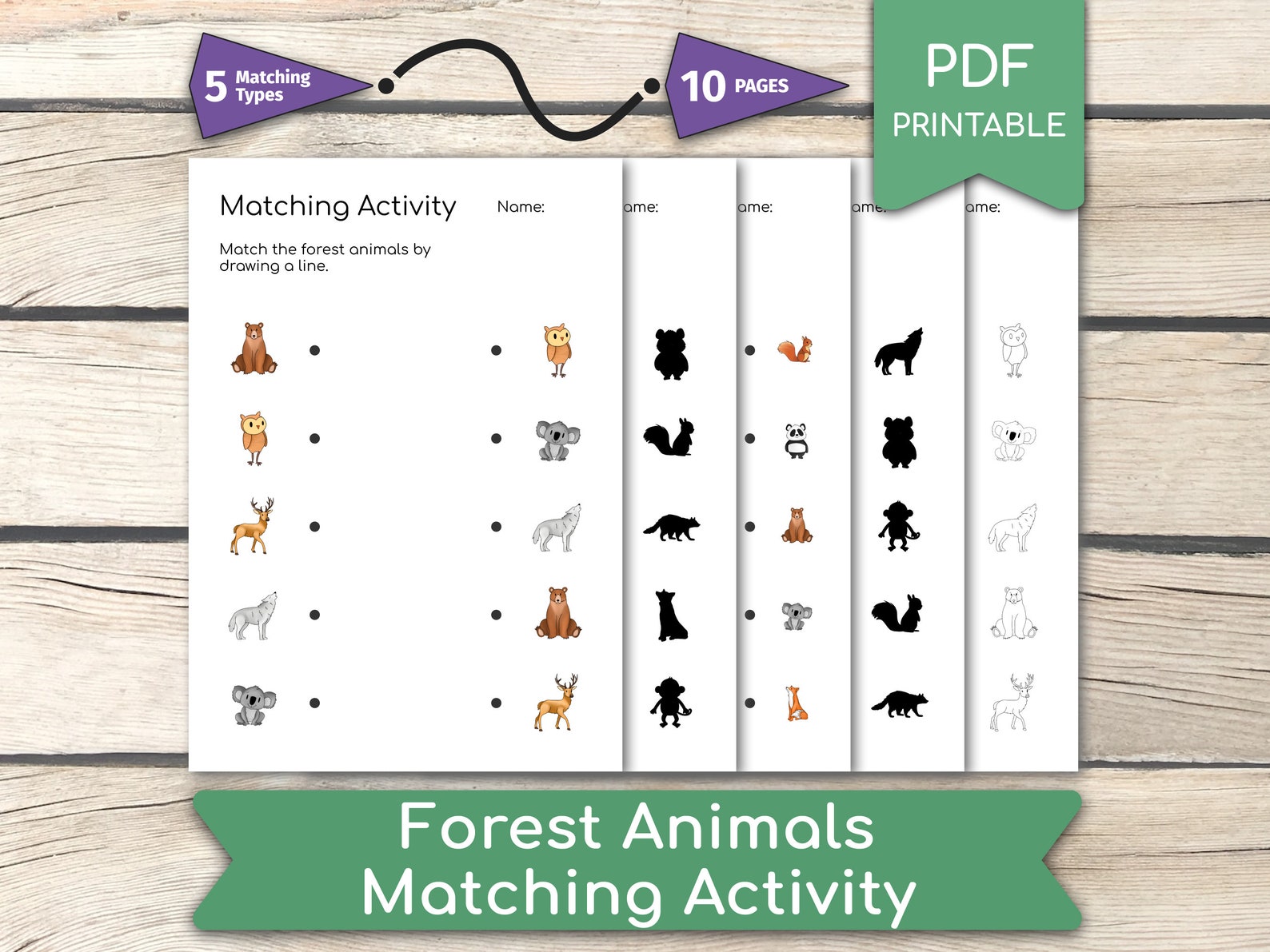 Forest Animals Matching Activity 5 Different Types Worksheet • 10 Pages ...