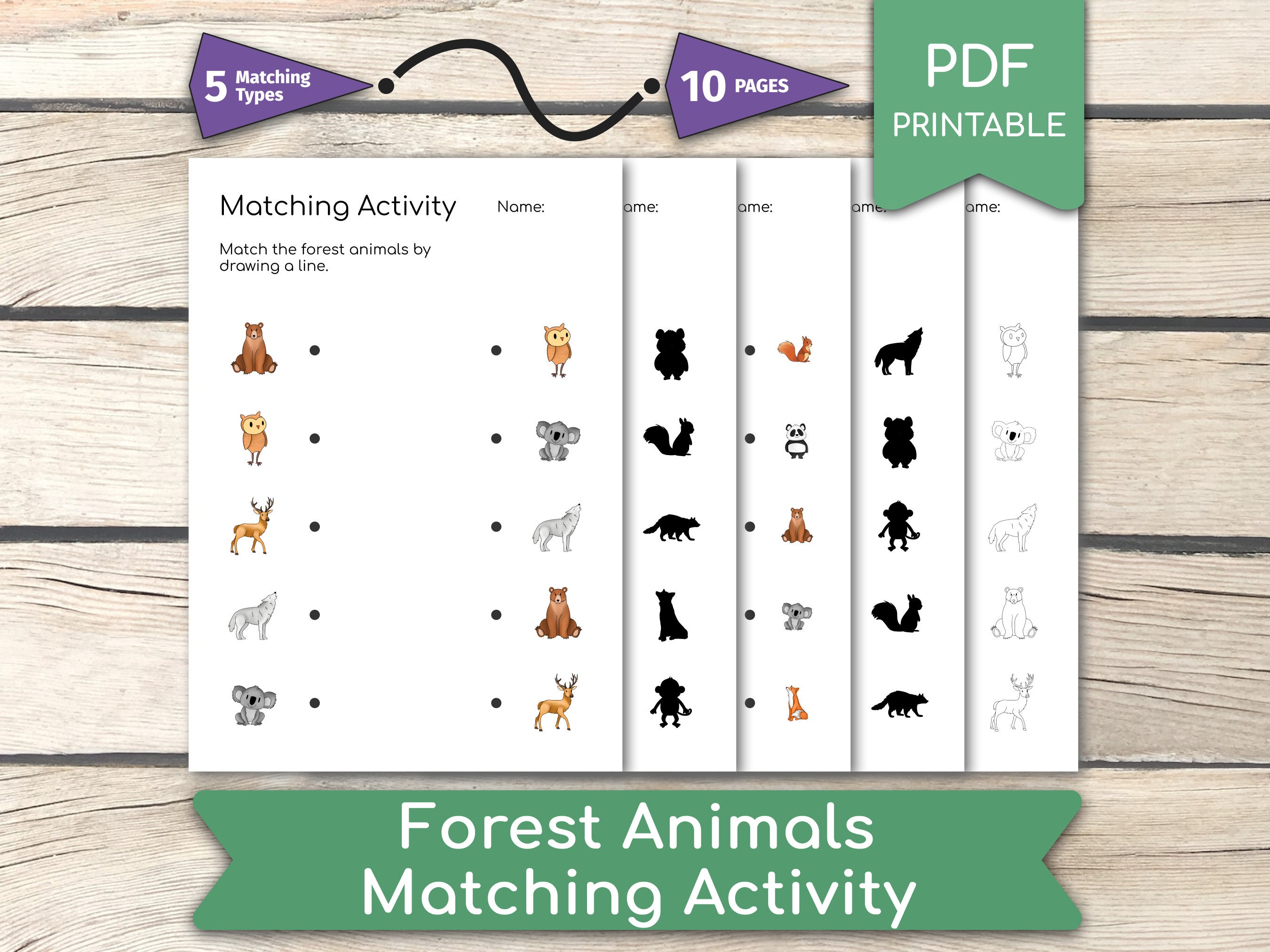Forest Animals Matching Activity 5 Different Types Worksheet • 10 Pages ...