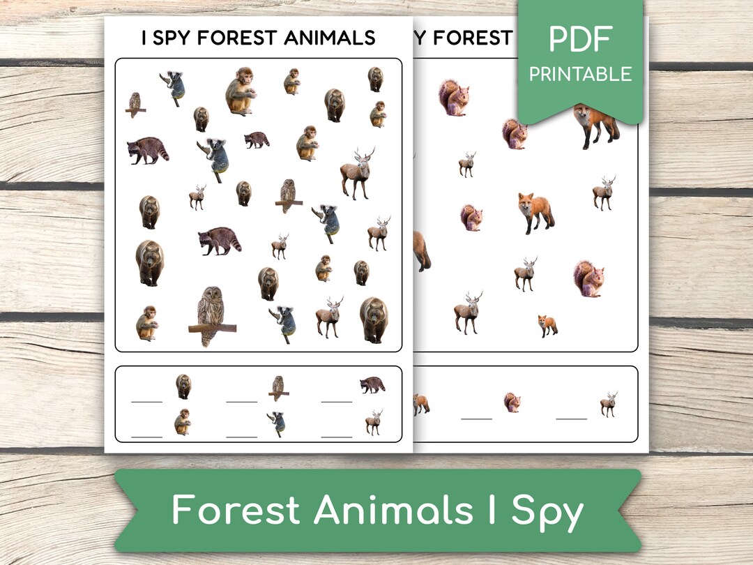 Forest Animals (real Pictures) I Spy Worksheet, Forest Animals Activity ...