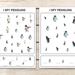 Penguin Types I Spy Worksheet, Penguin Types Activity, I Spy Activity ...