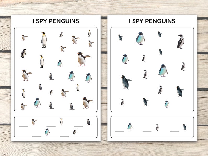 Penguin Types I Spy Worksheet, Penguin Types Activity, I Spy Activity ...