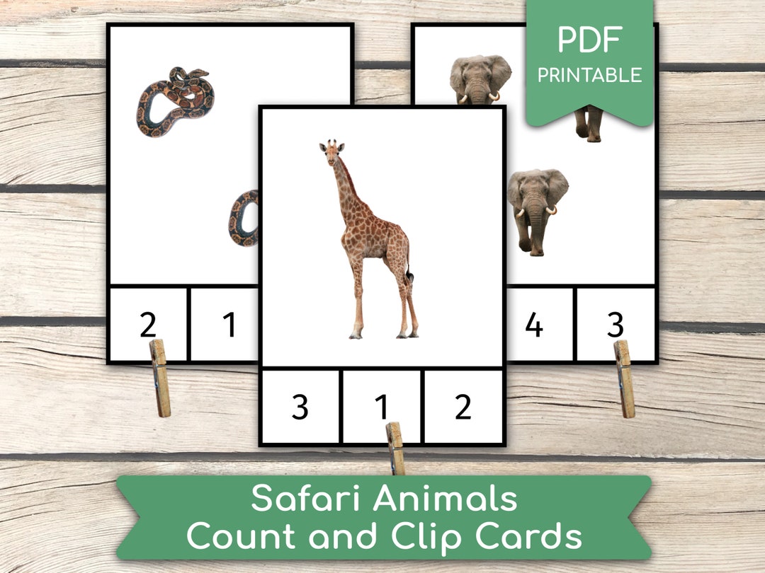 Counting Safari Animals (real Pictures) 1 to 10 Montessori Cards ...