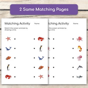 Ocean Animals Matching Activity 5 Different Types Worksheet 10 Pages ...