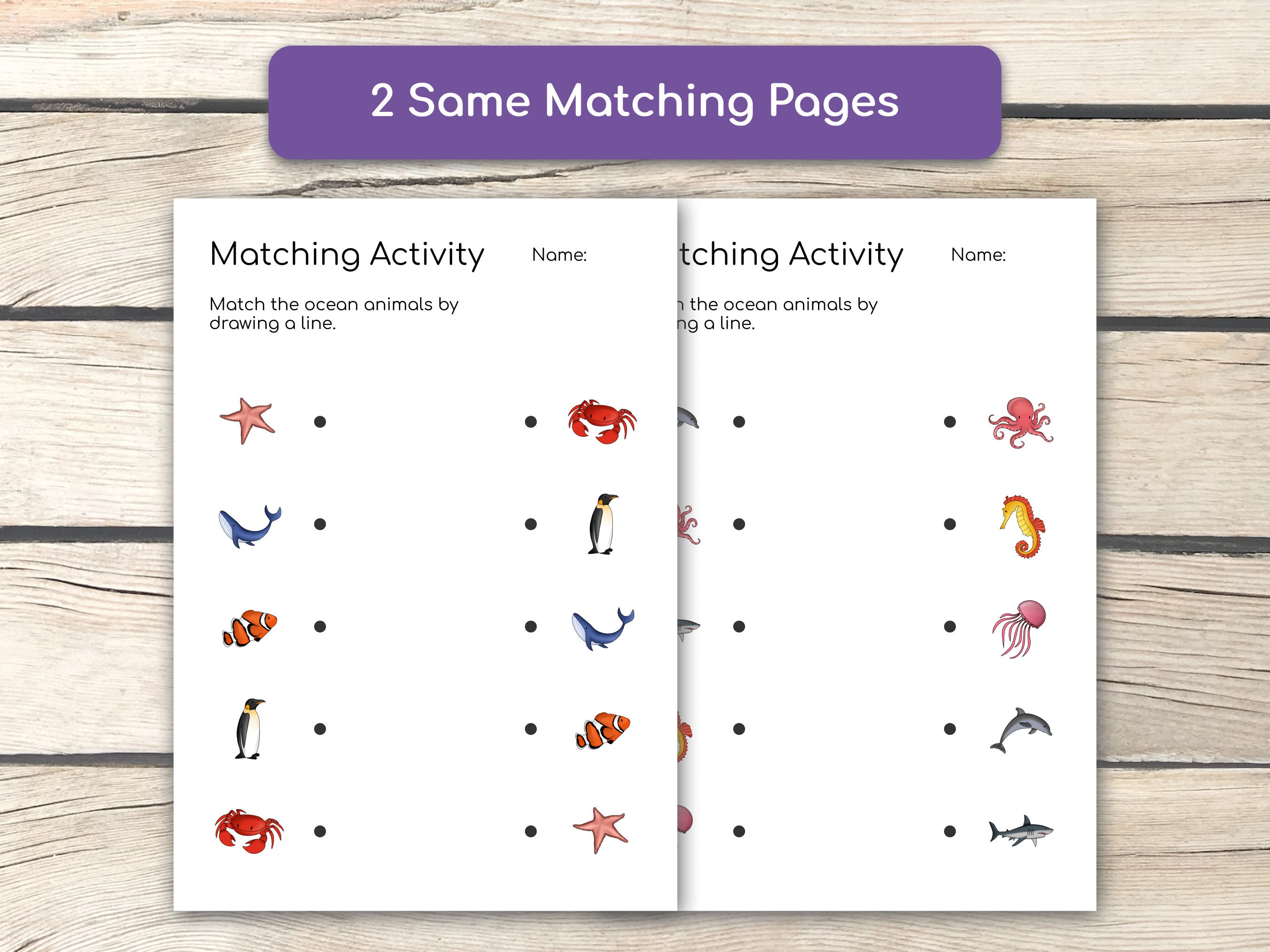 Ocean Animals Matching Activity 5 Different Types Worksheet 10 Pages ...