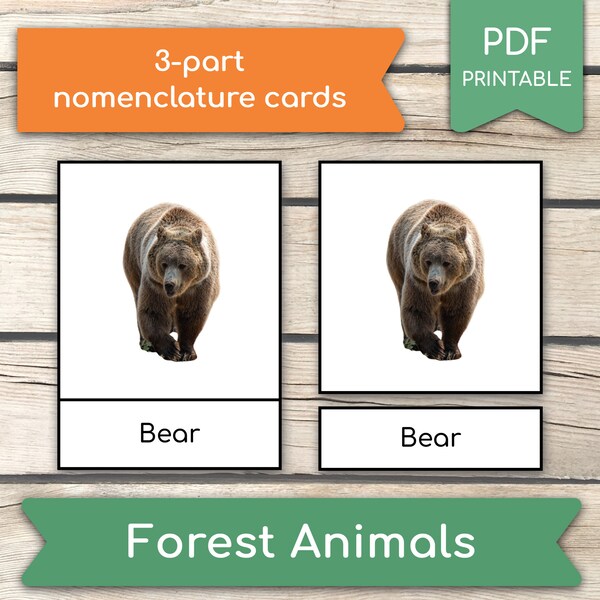 Forest Animals - Etsy UK