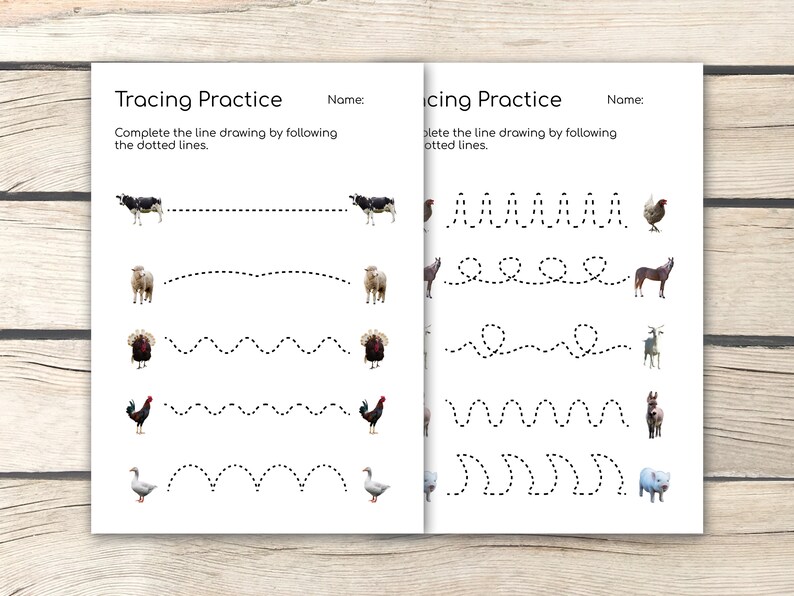 Preschool Line Tracing Practice, Farm Animals Pre-writing Activities 8 ...