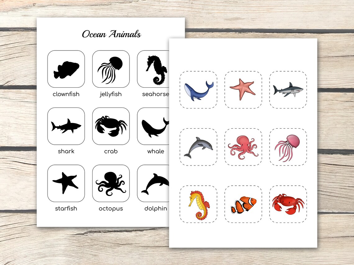 Ocean Animals Shadow Matching Game, Ocean Animals Worksheet, Matching ...