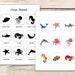 Ocean Animals Shadow Matching Game, Ocean Animals Worksheet, Matching ...