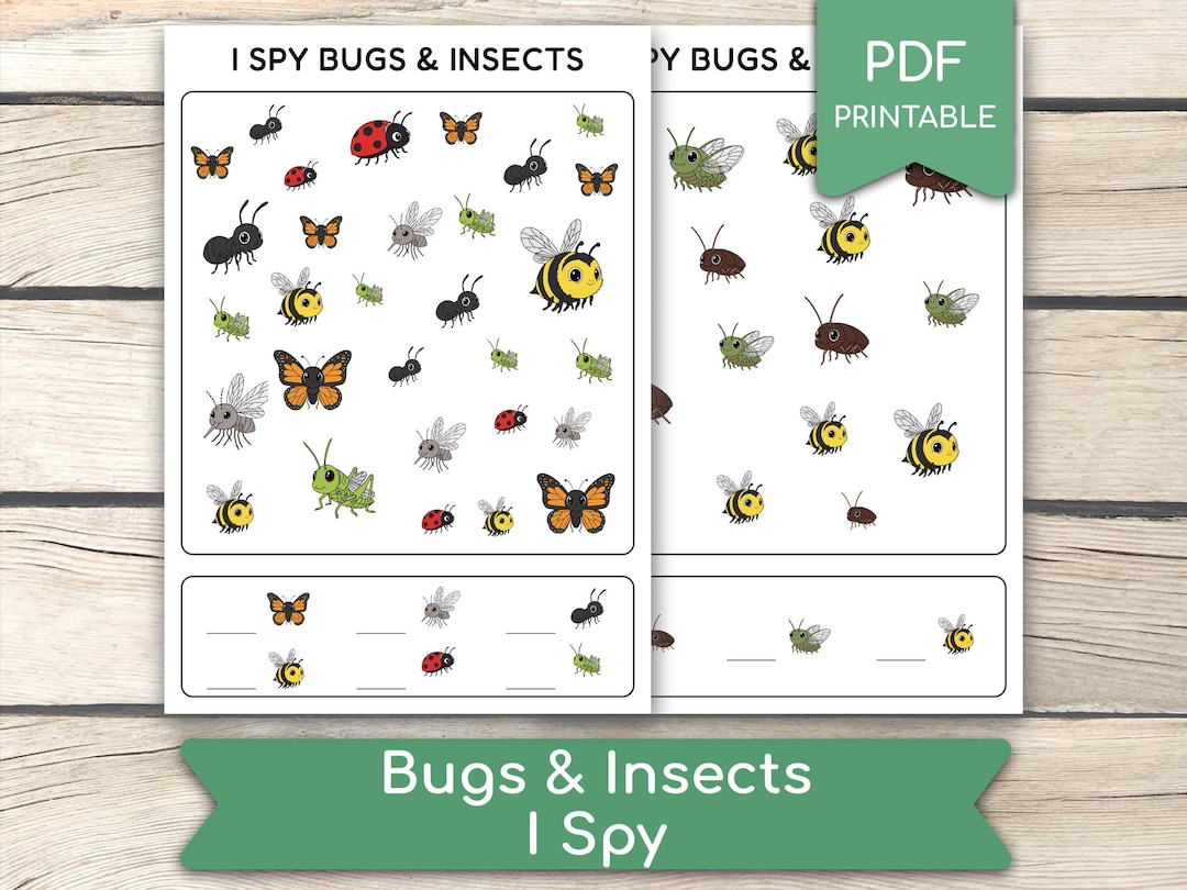 Bugs & Insects I Spy Worksheet, Bugs Insects Activity, I Spy Activity ...