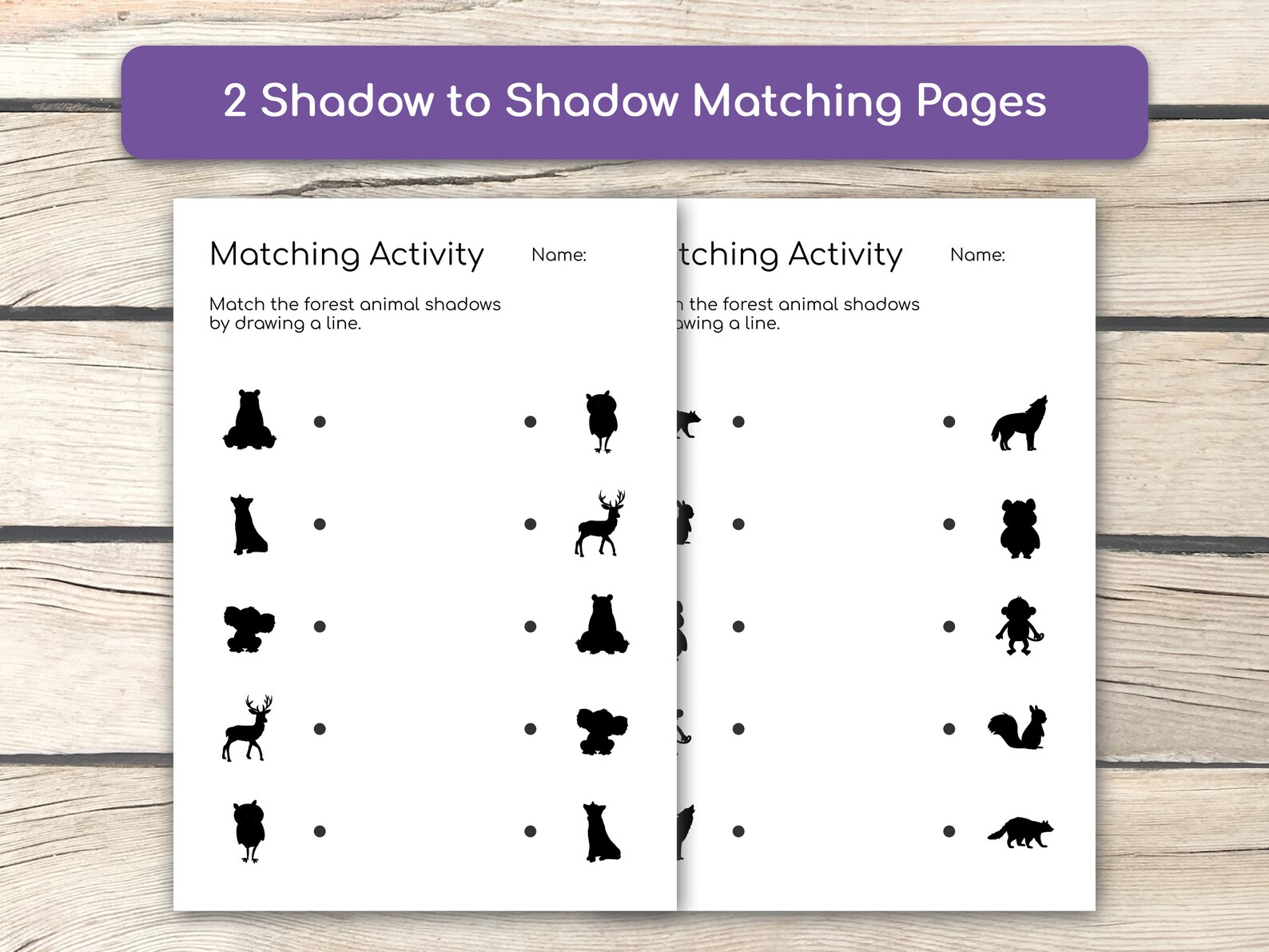 Forest Animals Matching Activity 5 Different Types Worksheet • 10 Pages ...