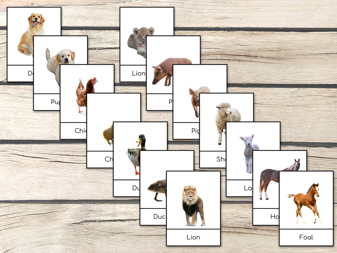 Animals and Their Babies Montessori Cards: Homeschool Printable (PDF ...