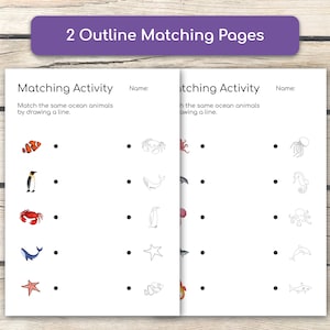 Ocean Animals Matching Activity 5 Different Types Worksheet 10 Pages ...