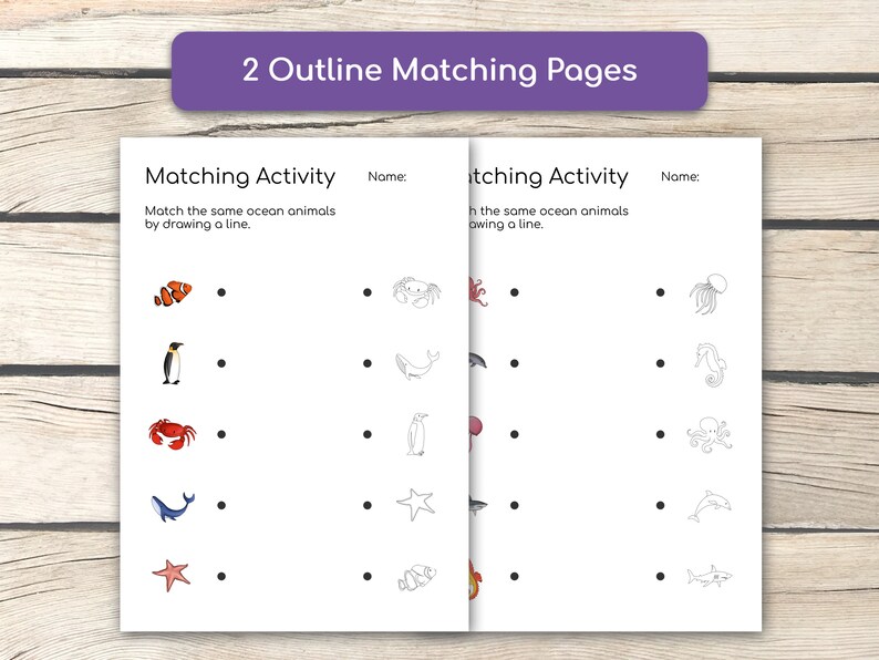 Ocean Animals Matching Activity 5 Different Types Worksheet 10 Pages ...