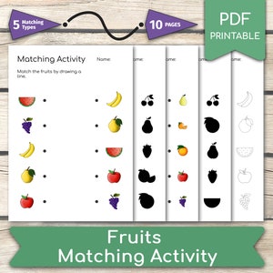 Fruits Matching Activity 5 Different Types Worksheet • 10 Pages ...