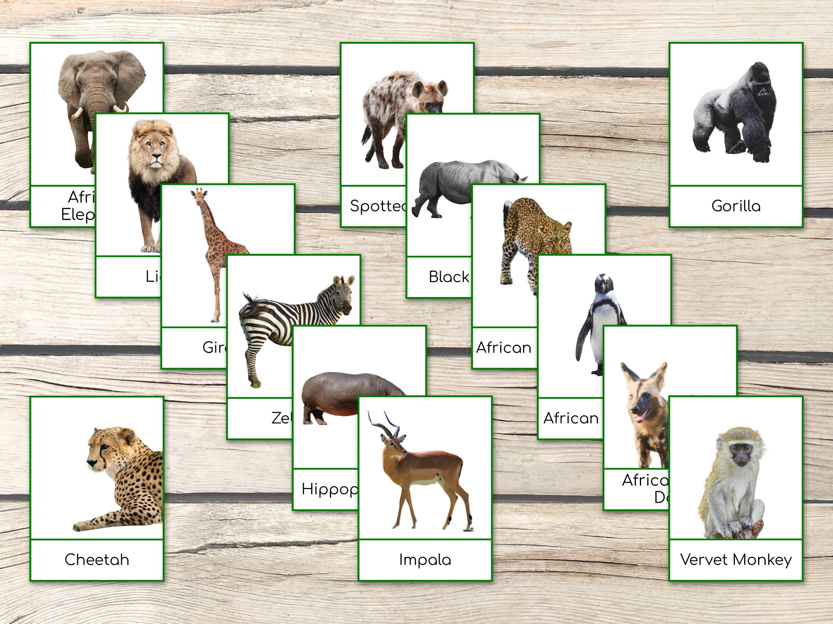 AFRICAN ANIMALS • 14 Animals Montessori Cards, 3-part Cards ...