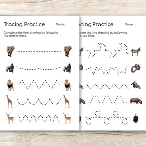 Preschool Line Tracing Practice, Safari Animals (real Pictures) Pre ...