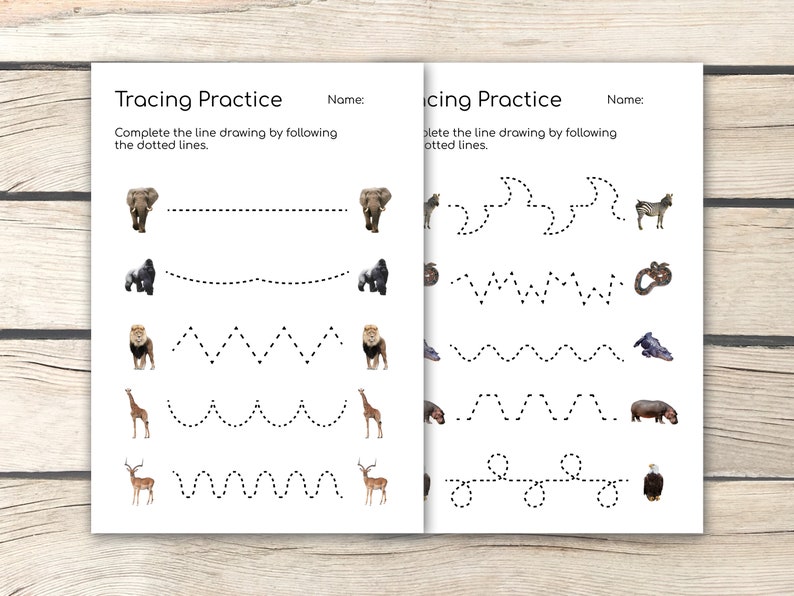 Preschool Line Tracing Practice, Safari Animals (real Pictures) Pre ...