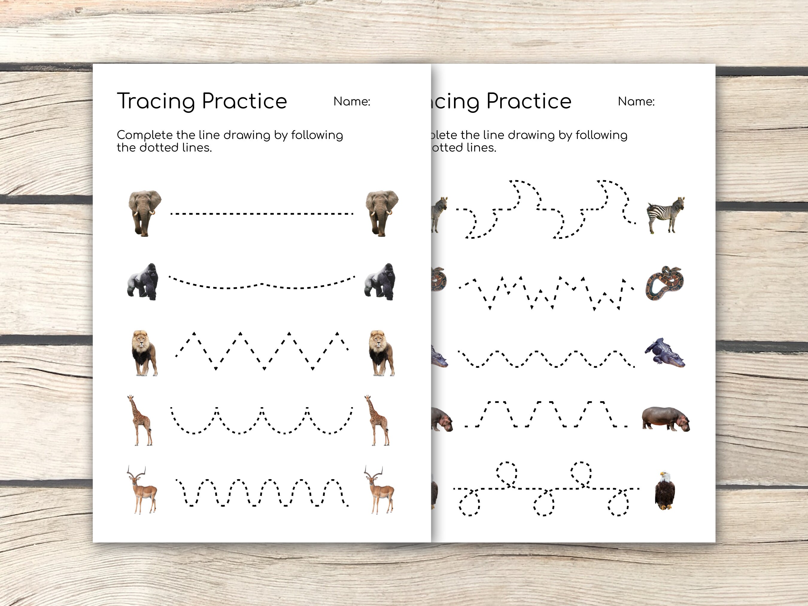 Preschool Line Tracing Practice, Safari Animals (real Pictures) Pre ...