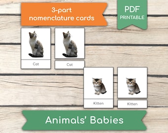 Animals and Their Babies Montessori Cards: Homeschool Printable (PDF ...