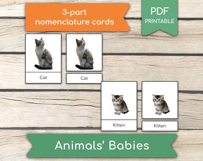 Animals and Their Babies Montessori Cards: Homeschool Printable (PDF ...