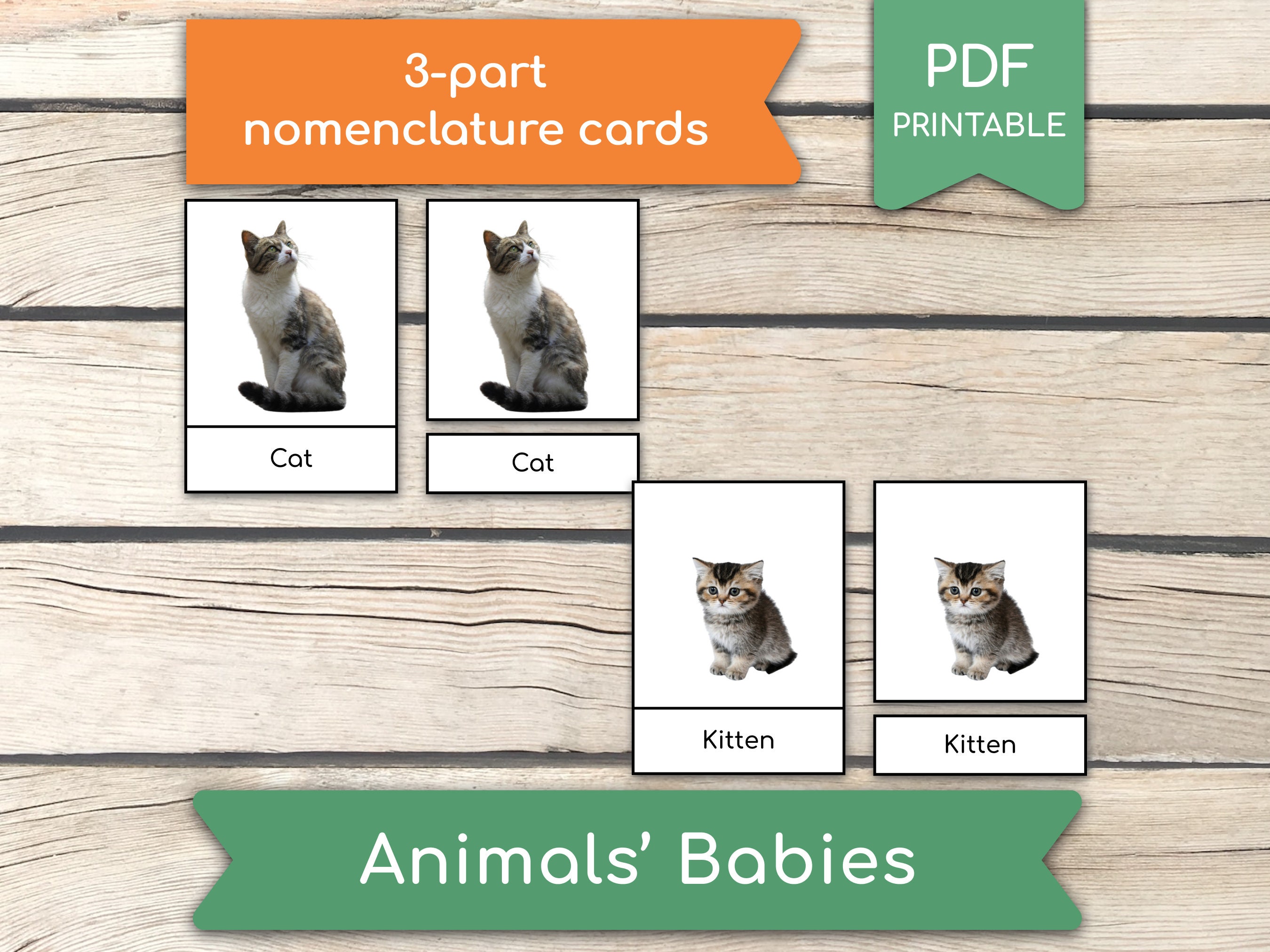 Animals and Their Babies Montessori Cards: Homeschool Printable (PDF ...