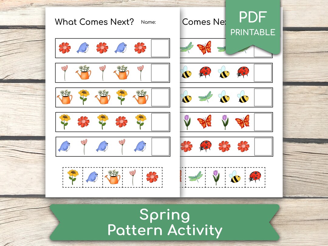 Spring WHAT COMES NEXT? Worksheet, Pattern Activity, Educational ...