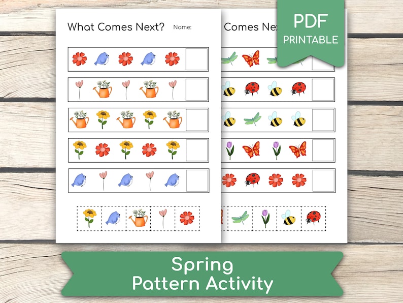 Spring WHAT COMES NEXT? Worksheet, Pattern Activity, Educational ...