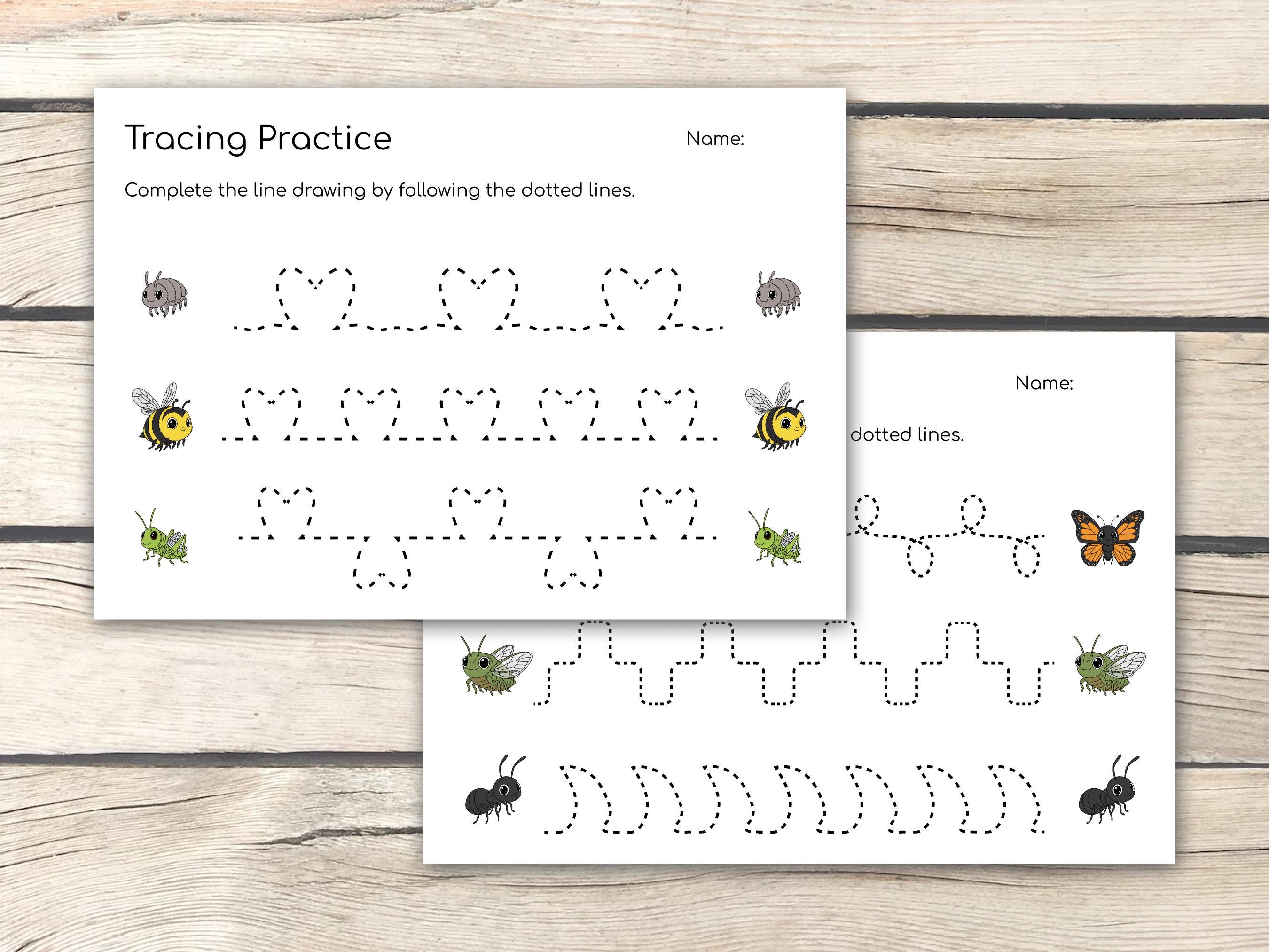 Bugs & Insects Preschool Line Tracing Practice, Pre-writing Activities ...