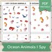 Ocean Animals I Spy Worksheet, Ocean Animals Activity, I Spy Activity ...