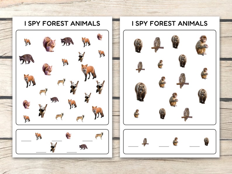 Forest Animals (real Pictures) I Spy Worksheet, Forest Animals Activity ...