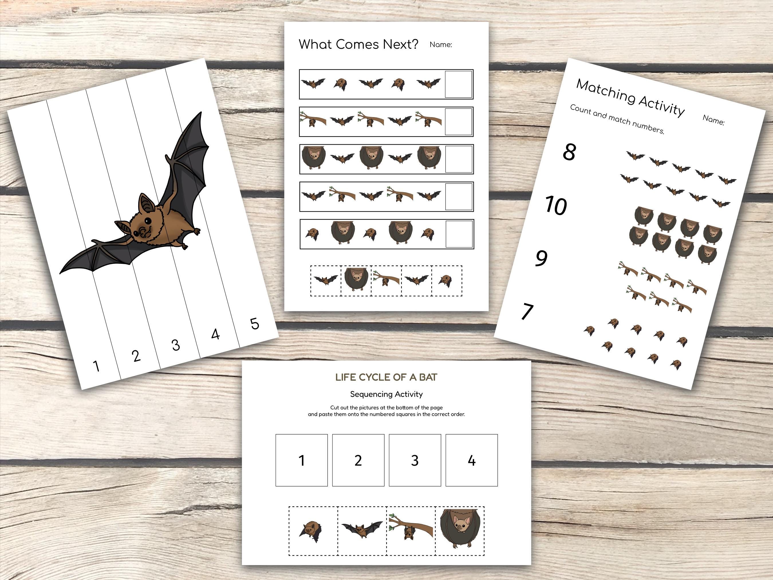 Bat Life Cycle Activity Bundle: Educational Printable Set (PDF ...
