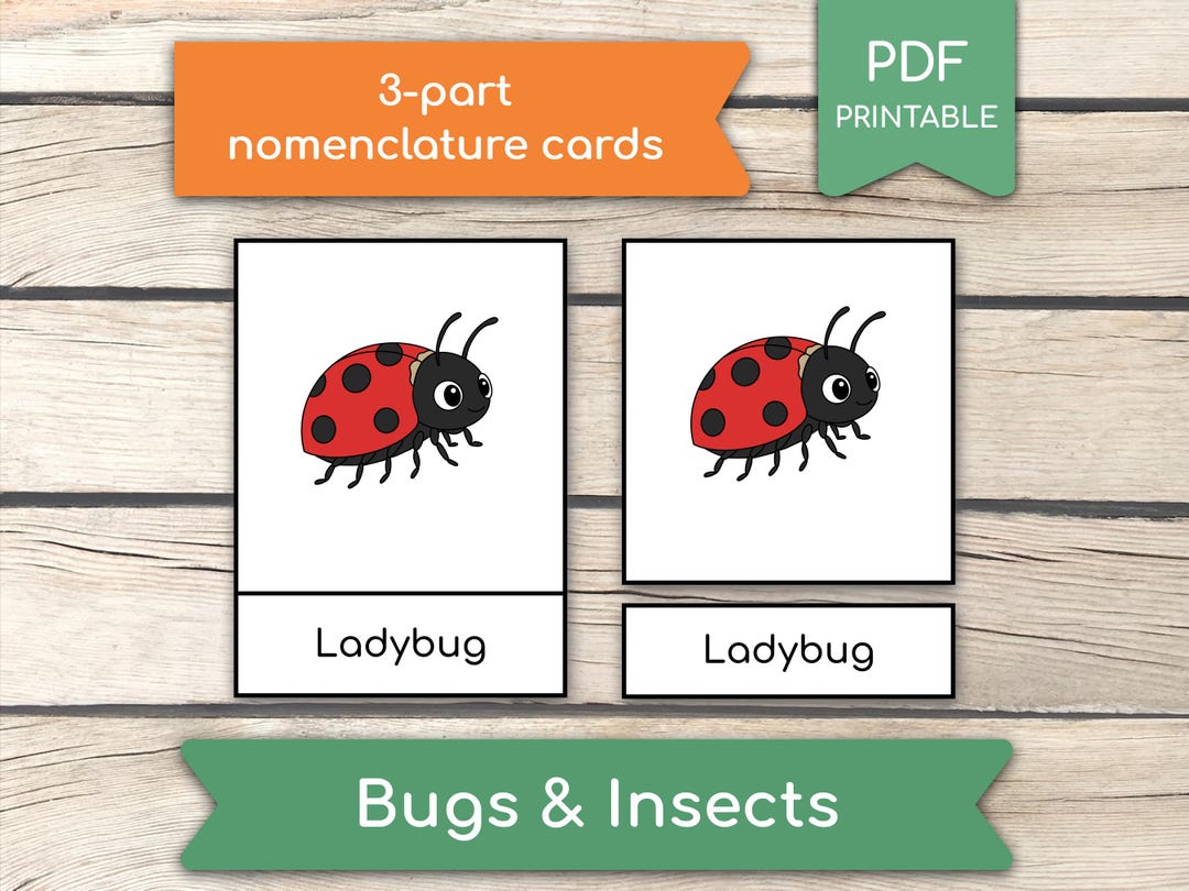 Bugs & Insects 3-part Montessori Cards, Preschool Activity (PDF ...