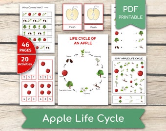 Apple Life Cycle Activity Bundle, Apple Activities, Parts of an Apple ...