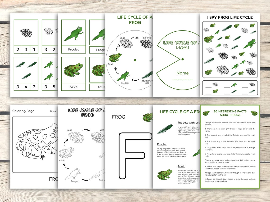 Frog Life Cycle Activity Bundle, Frog Activities, Learn Frogs, Frog ...