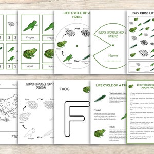 Frog Life Cycle Activity Bundle, Frog Activities, Learn Frogs, Frog ...