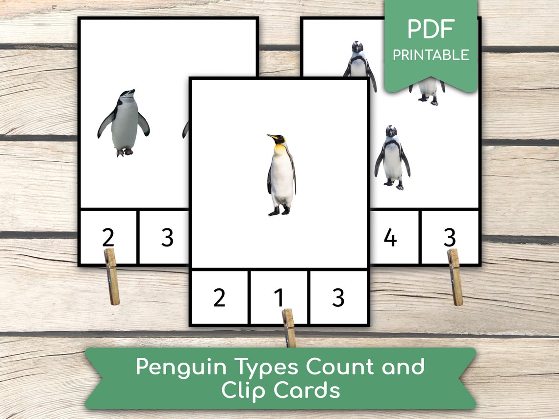 Counting Penguin Types (1 to 10), Montessori Cards, Preschool Counting ...