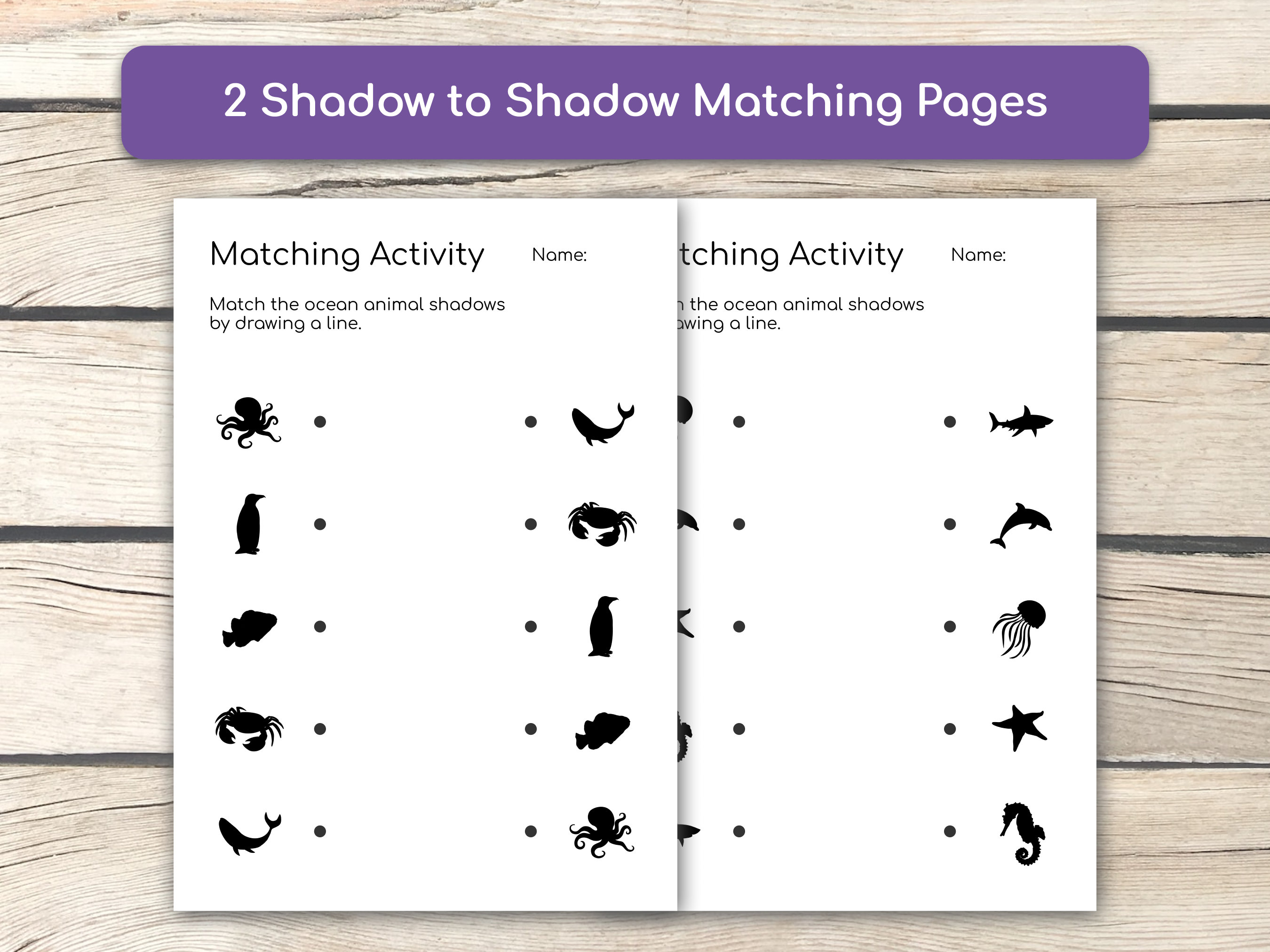 Ocean Animals Matching Activity 5 Different Types Worksheet • 10 Pages ...