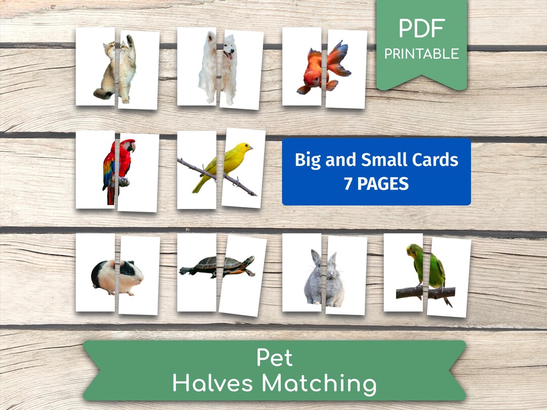 Pet Animal (real Pictures) Halves Matching Game: Preschool Learning ...