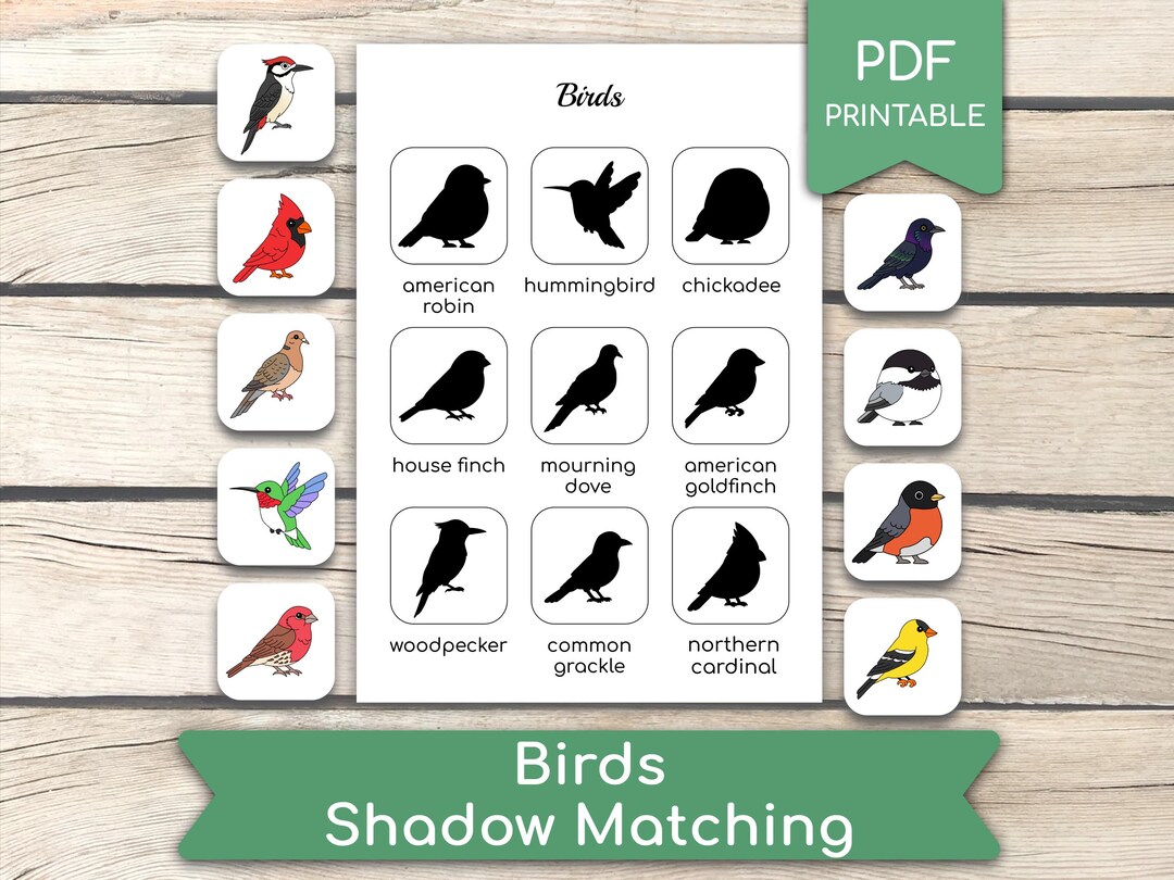 Birds Shadow Matching Game, Backyard Birds Worksheet, Birds Matching ...
