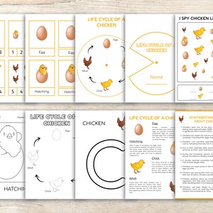 Chicken Life Cycle Activity Bundle: Educational Printable Set (PDF ...