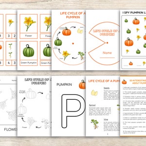 Pumpkin Life Cycle Activity Bundle: Educational Printable Set (PDF ...