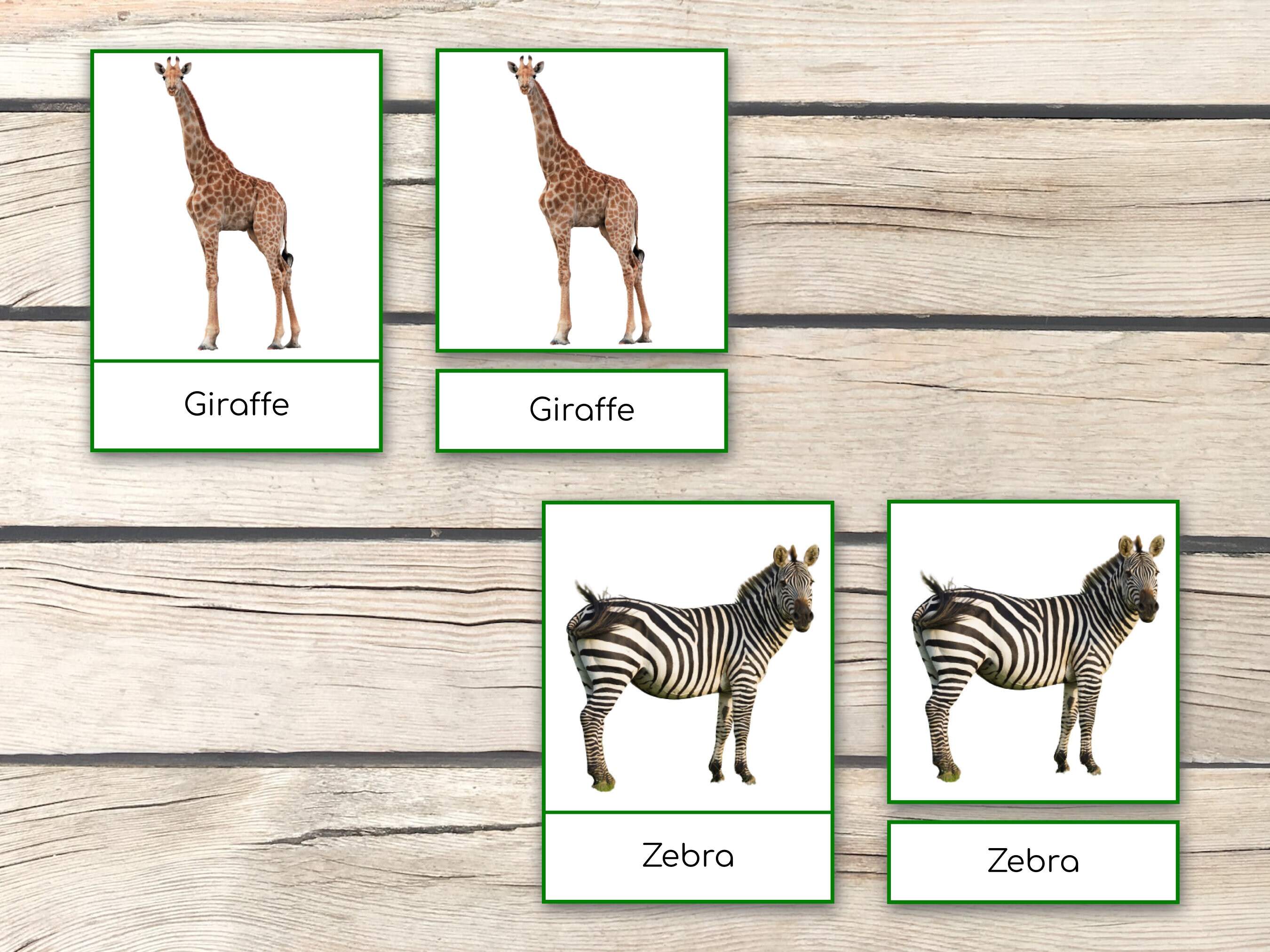 AFRICAN ANIMALS • 14 Animals Montessori Cards, 3-part Cards ...