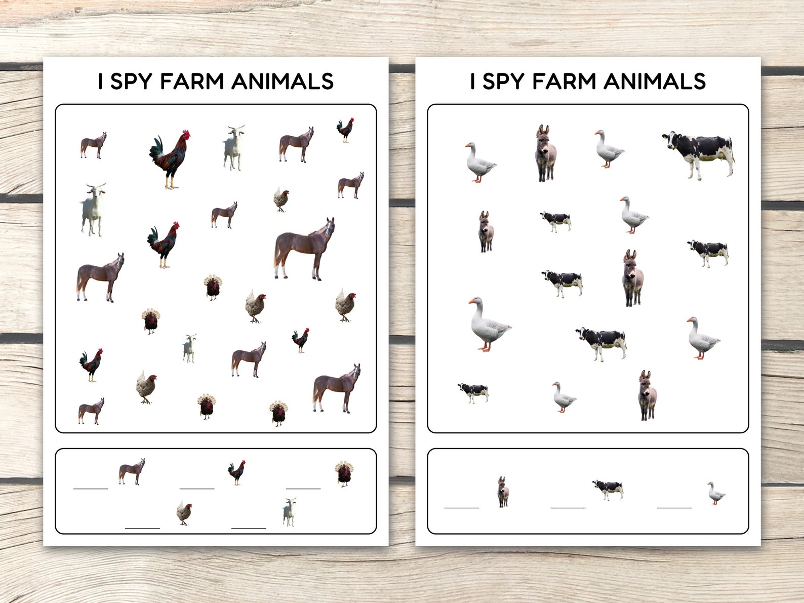 Farm Animals (real Pictures) I Spy Worksheet, Farm Animals Activity, I ...