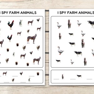 Farm Animals (real Pictures) I Spy Worksheet, Farm Animals Activity, I ...