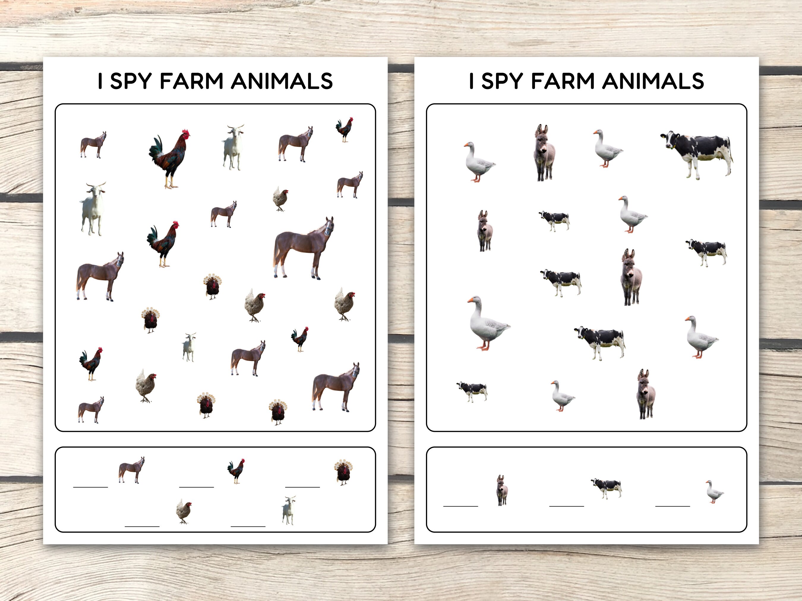 Farm Animals (real Pictures) I Spy Worksheet, Farm Animals Activity, I ...