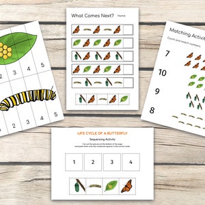 Butterfly Life Cycle Activity Bundle: Educational Printable Set (PDF ...