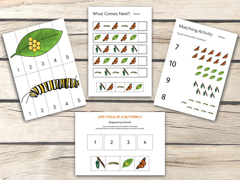 Butterfly Life Cycle Activity Bundle: Educational Printable Set (PDF ...