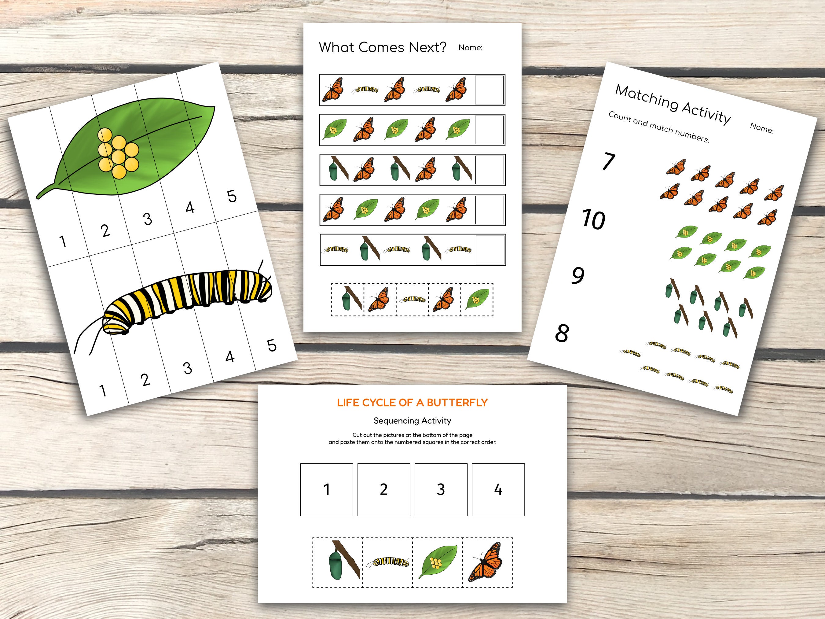 Butterfly Life Cycle Activity Bundle, Butterfly Activities, Learn ...