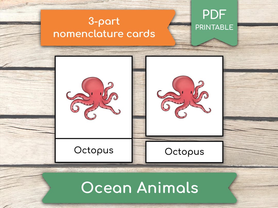 Ocean Animals Activity, Ocean Animals 3 Part Cards, Nomenclature ...